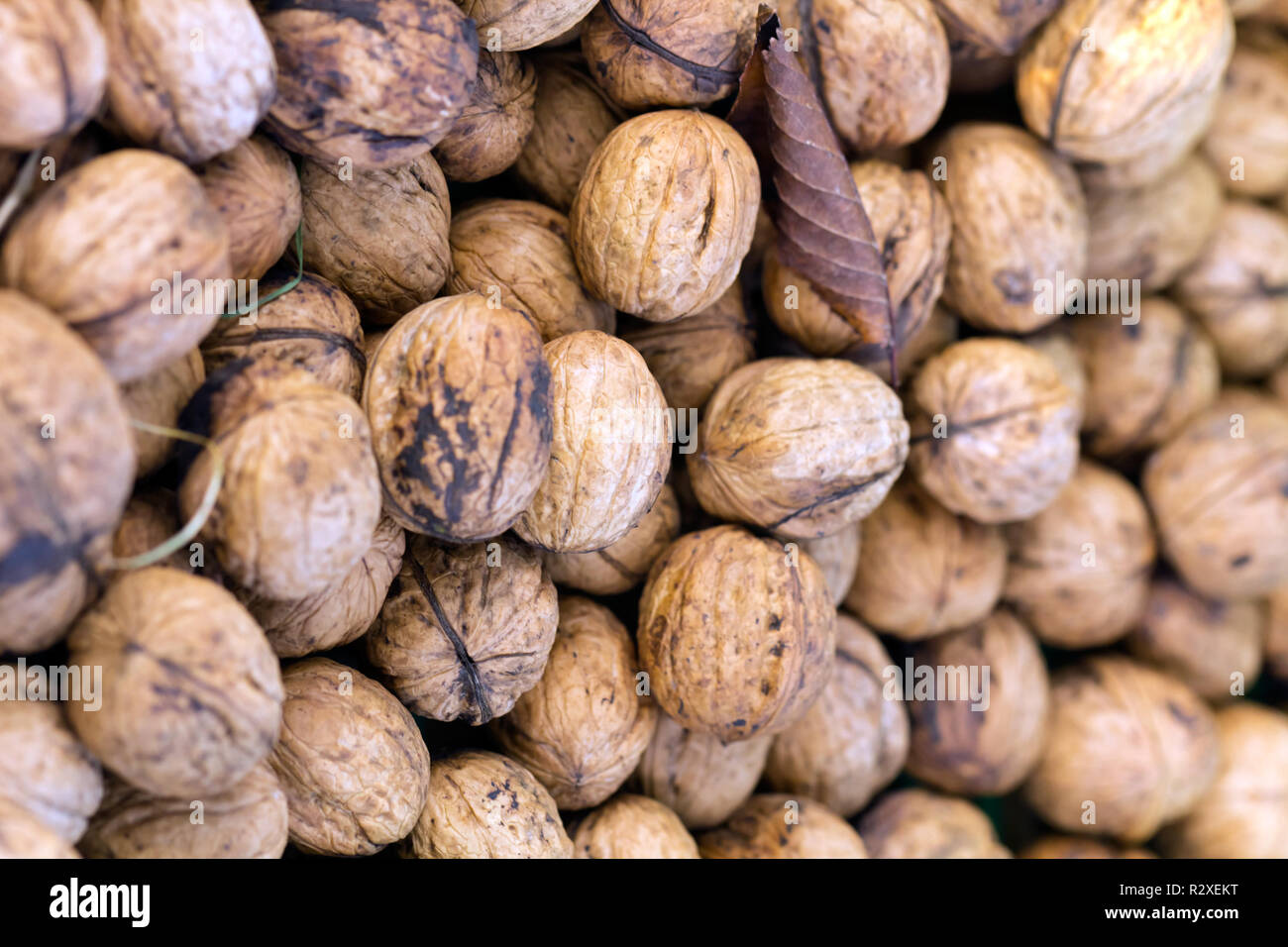 walnut - background Stock Photo - Alamy