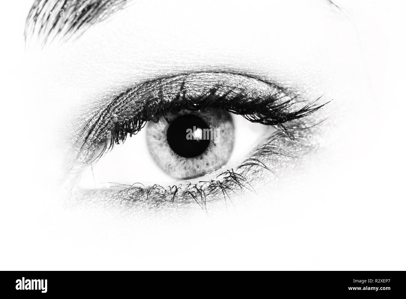 Intense Eyes Drawing