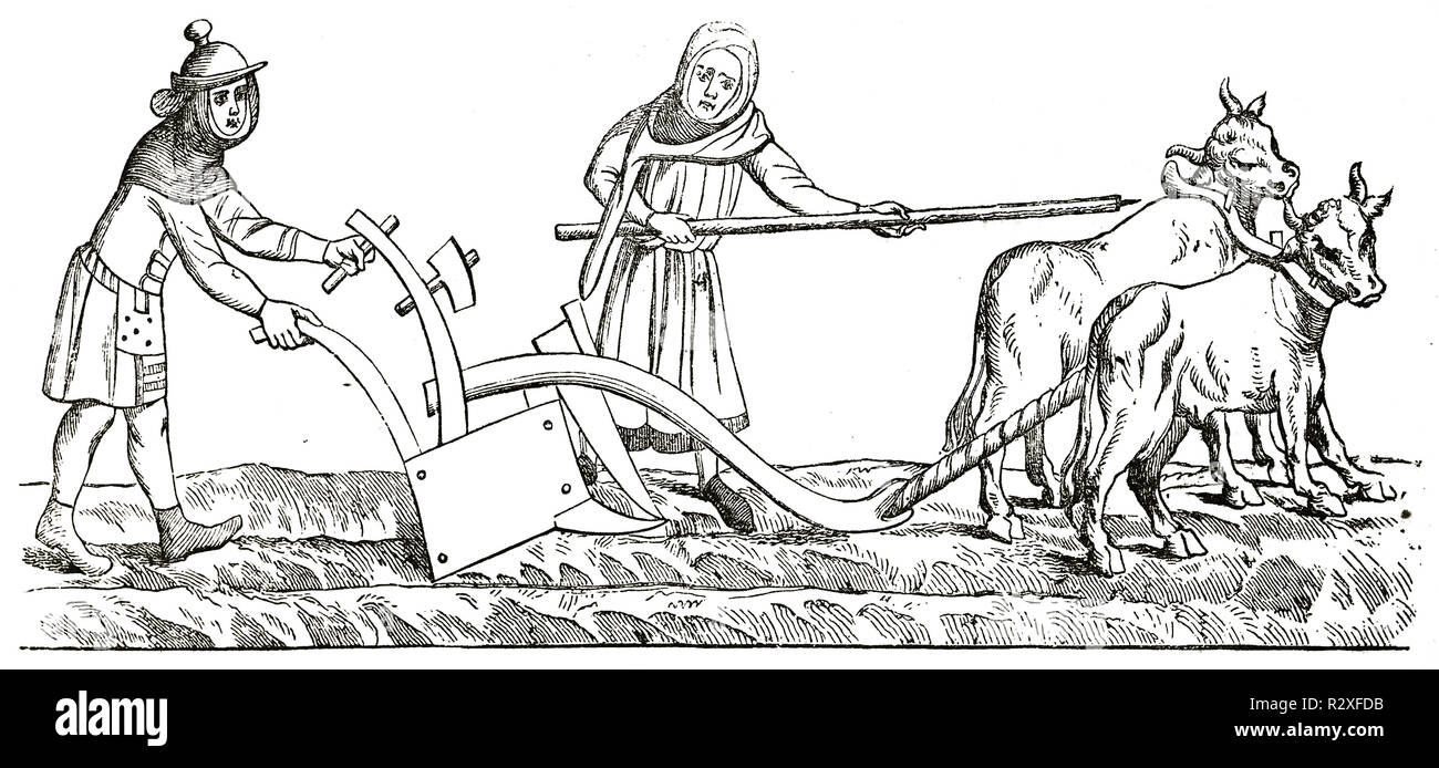 Plough oxen historical hi-res stock photography and images - Alamy