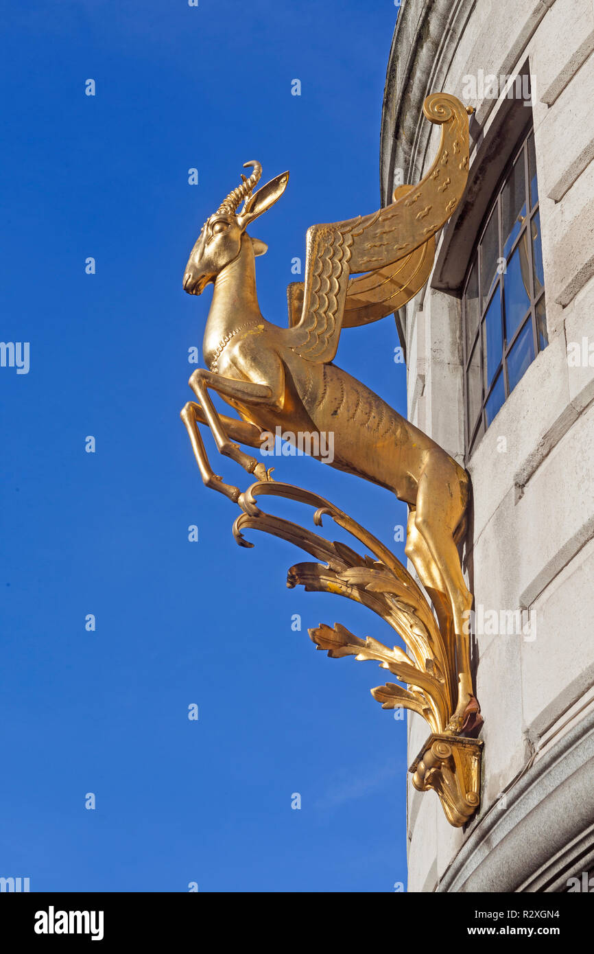 Springbok emblem hi-res stock photography and images - Alamy