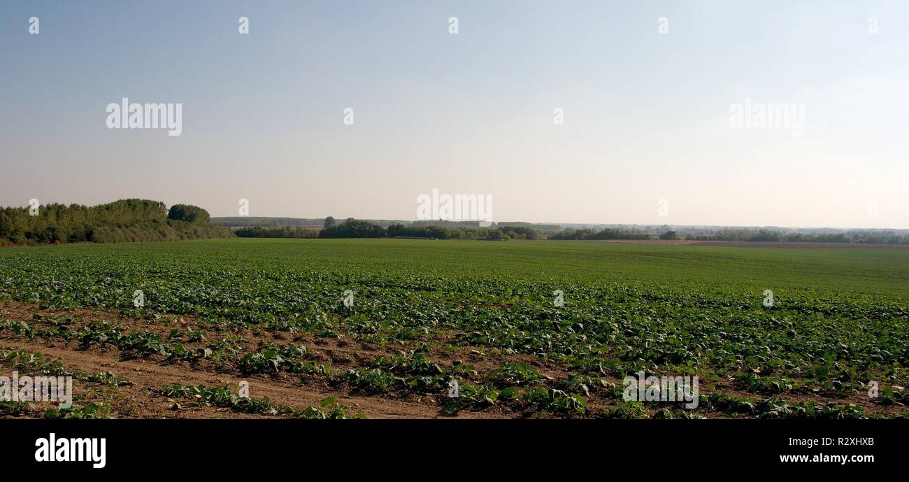 Open flatland hi-res stock photography and images - Alamy