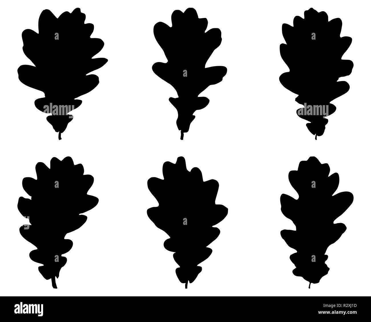Leaf graphic leaves illustration Black and White Stock Photos & Images ...