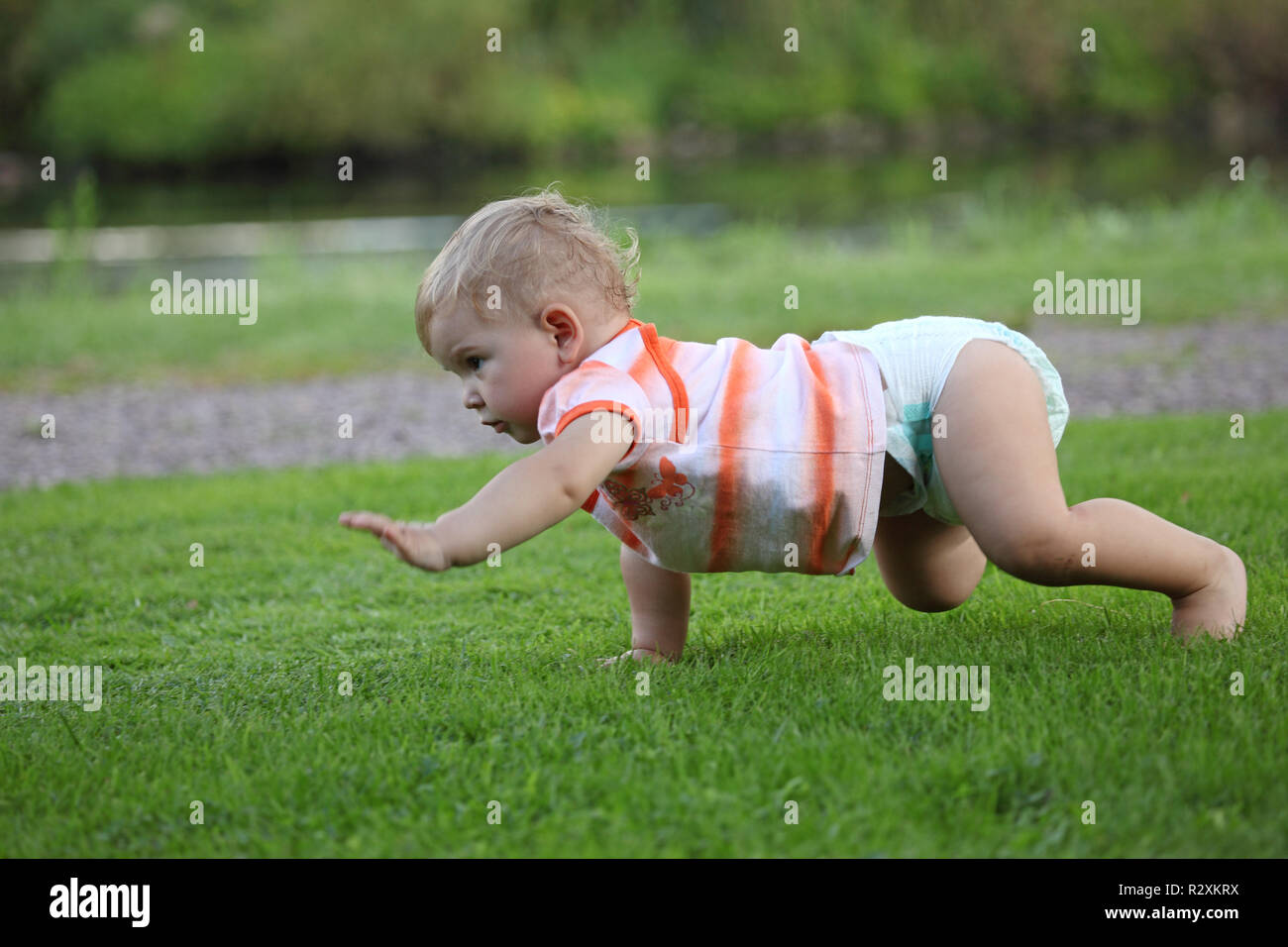 toddler crawling in the meadow Stock Photo - Alamy