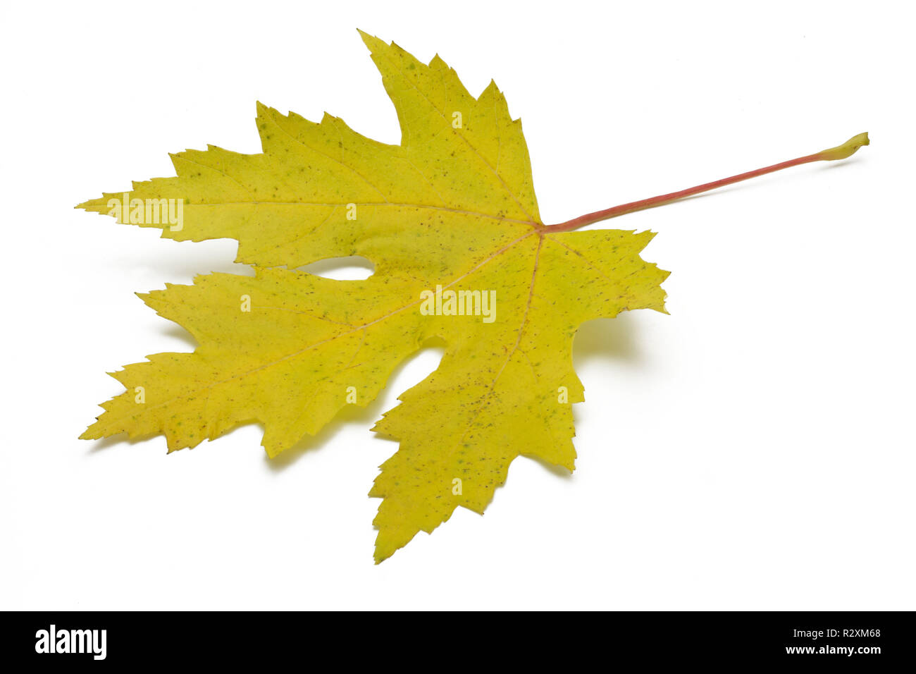 Colors faded Cut Out Stock Images & Pictures - Alamy