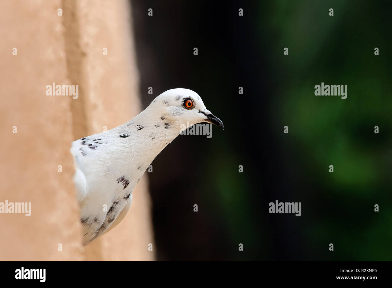 Sharp incline hi-res stock photography and images - Alamy