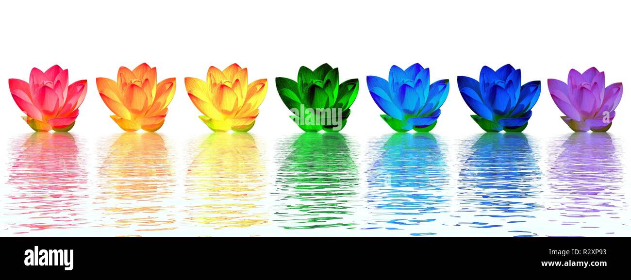 Red orange lotus flowers lotus hi-res stock photography and images - Alamy