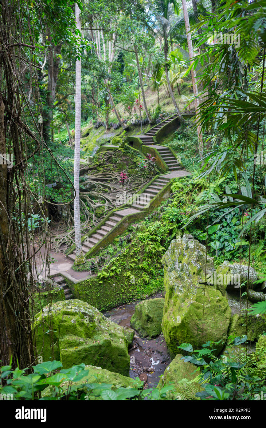 Stone slab stairs up a small hill under green tree Stock Photo - Alamy