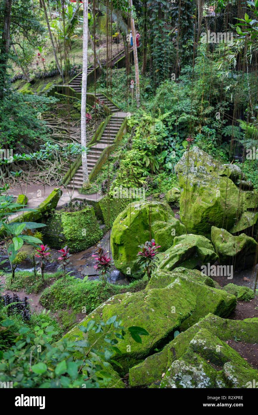 Stone slab stairs up a small hill under green tree Stock Photo - Alamy