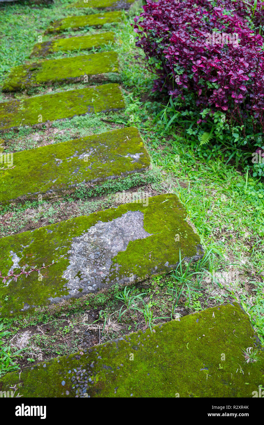 Beautiful foot path in the colorful autumn forest illuminated by ...