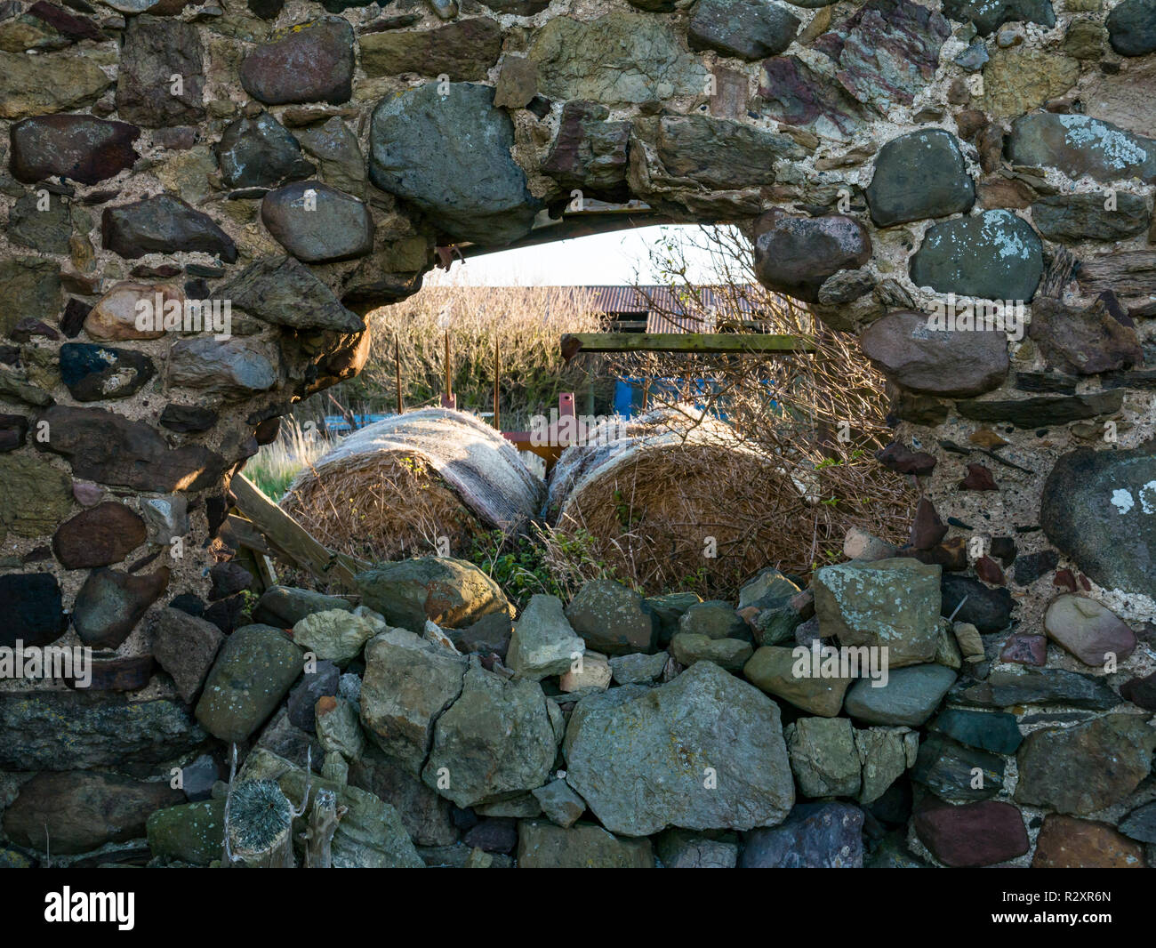 Unfinished ruined Barnes Castle with hole in outer wall, used for farm ...