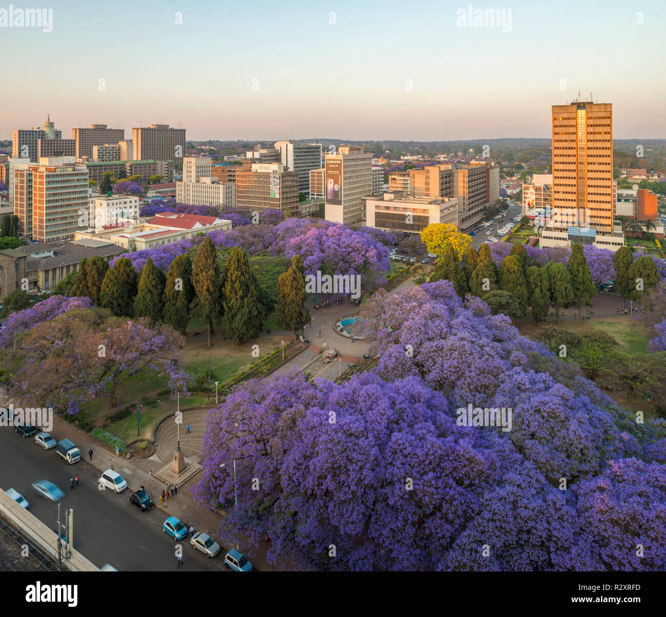Harare, the capitalo of Zimbabwe, seen in Jacaranda season Stock Photo ...