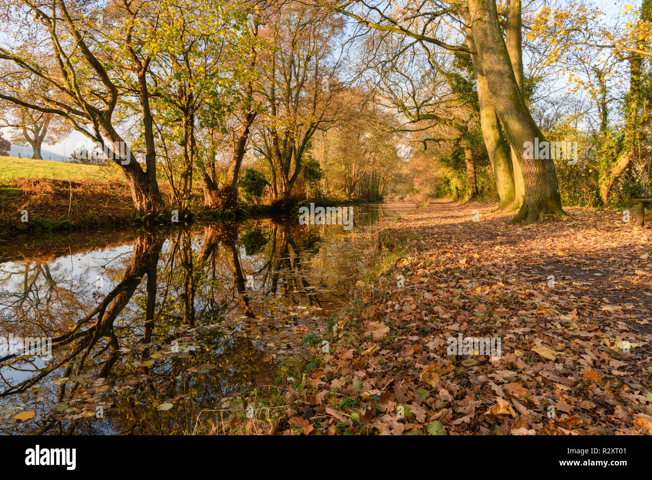 Fall Canal Picture High Resolution Stock Photography and Images - Alamy