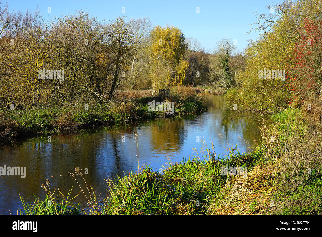 Border bottom hi-res stock photography and images - Alamy