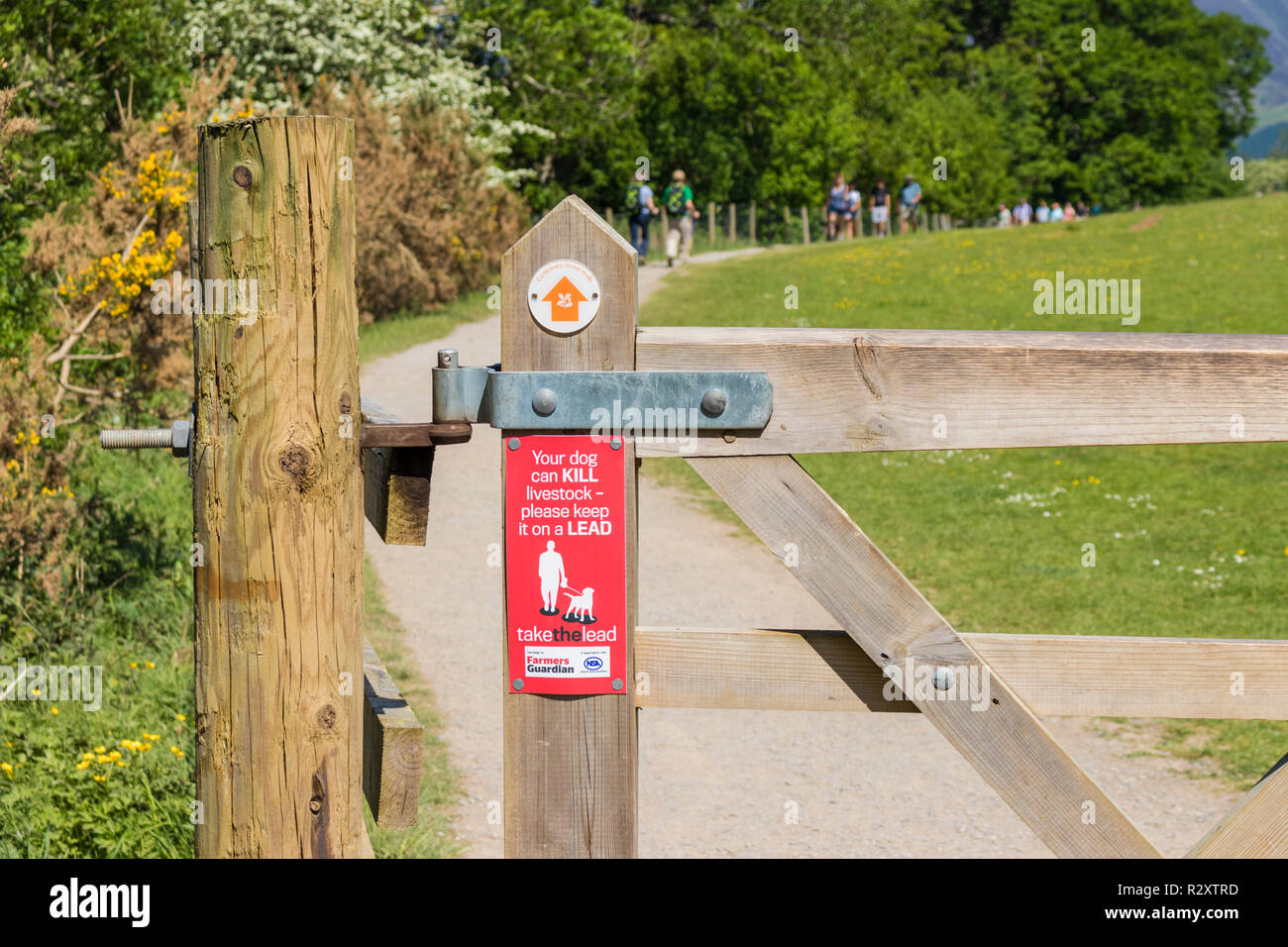Lake District UK Sheep worrying is an offence sign keep dogs on a lead ...