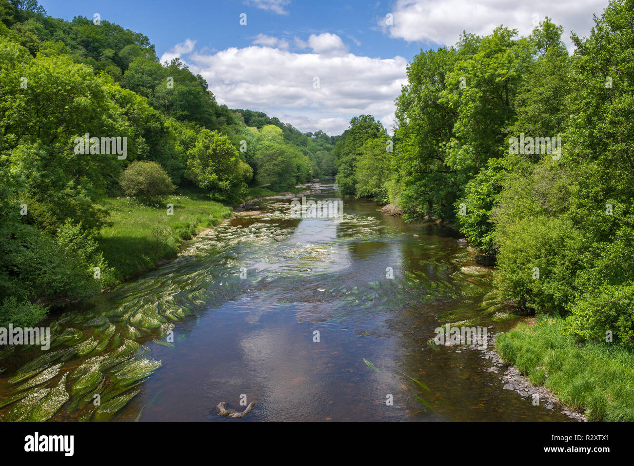 Fresselines (central France). Landscape of the “Vallee des deux Creuse ...