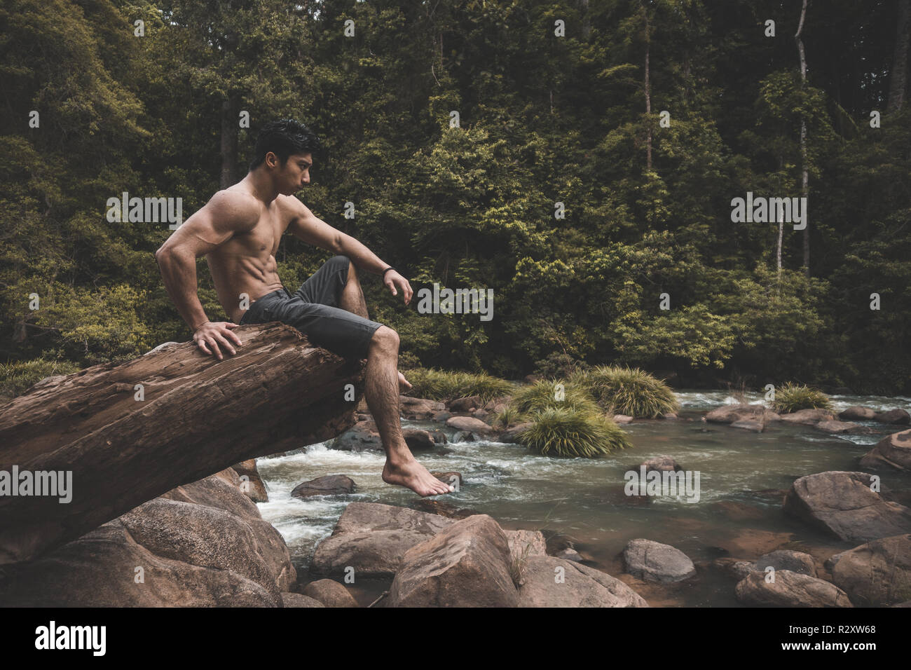 Muscular man sitting on a tree trunk while enjoying the nature around ...