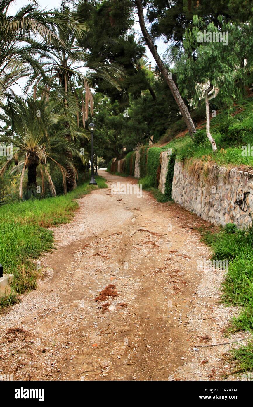 Landscape of the hillside of the Vinalopo River in Elche with its ...