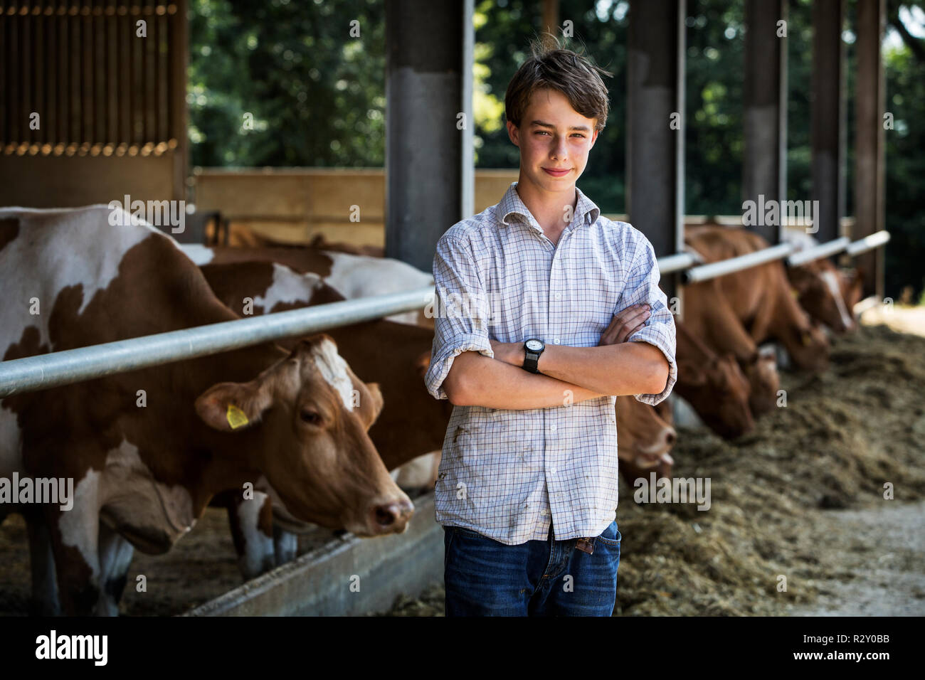 Female farmer feeding cows hi-res stock photography and images - Alamy