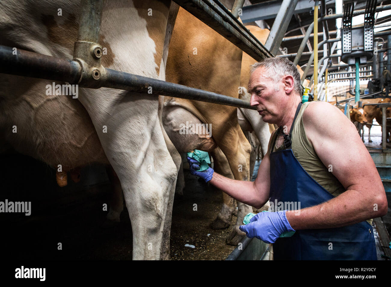 Cleaning the shed shed hi-res stock photography and images - Alamy