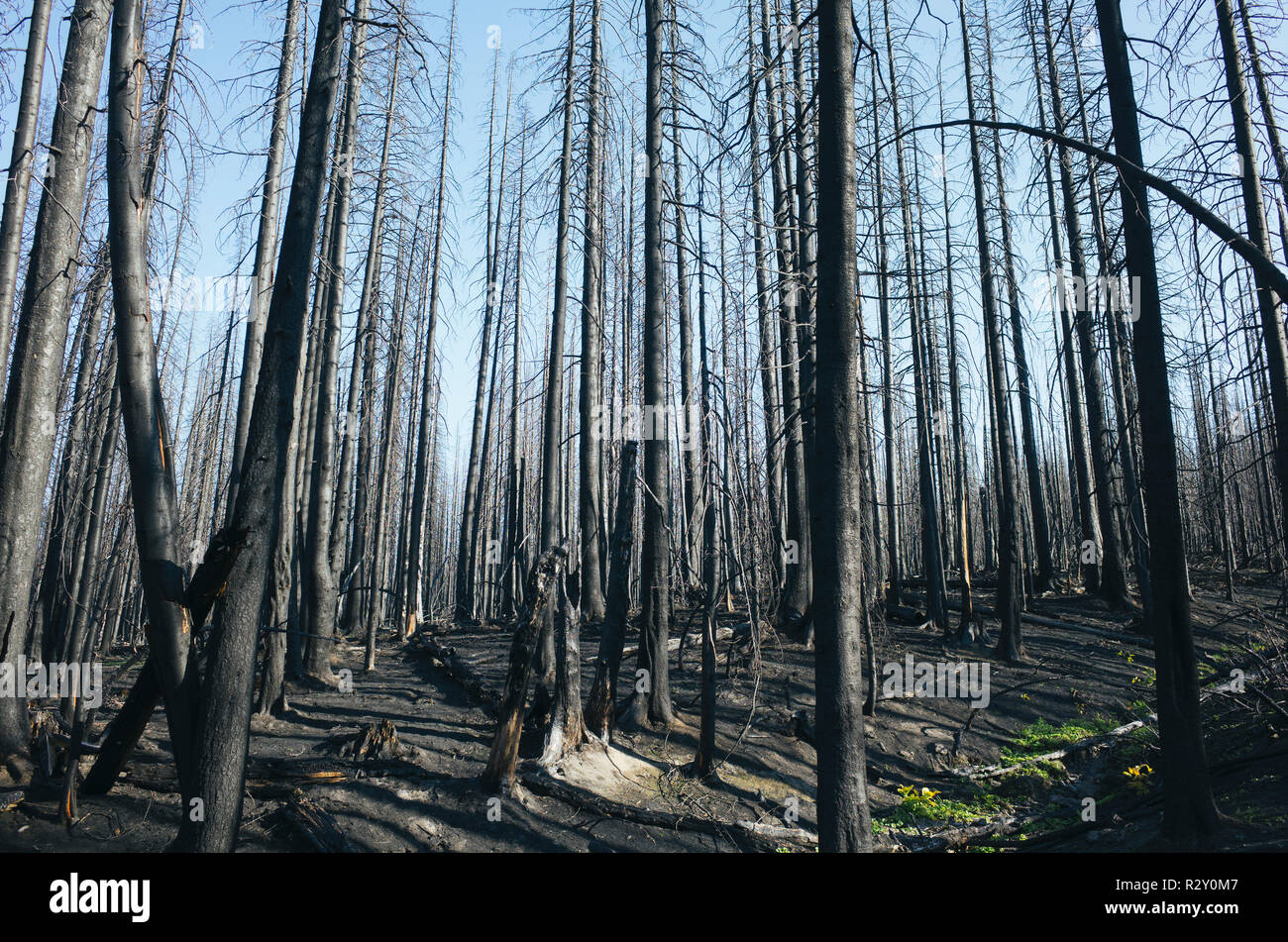 Norse peak hi-res stock photography and images - Alamy