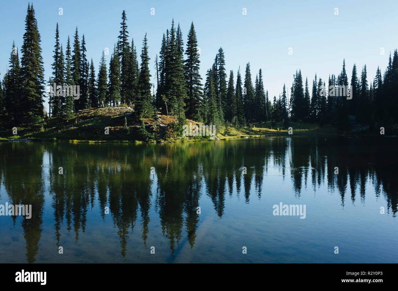 Sheep Lake and pristine alpine forest in autumn, Mt. Baker-Snoqualmie ...