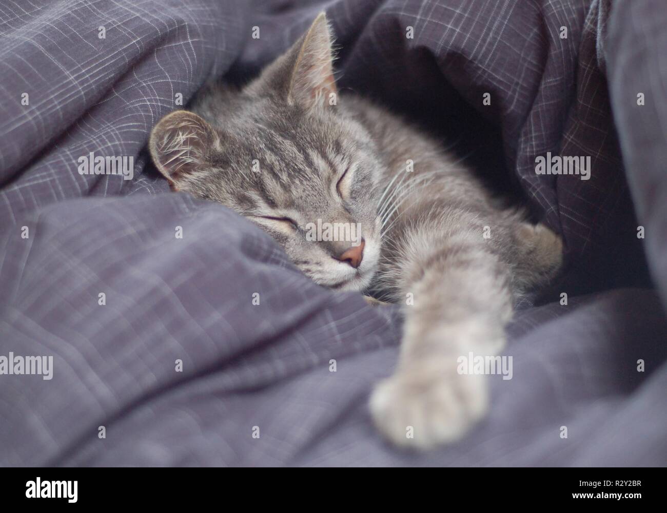 just let go Stock Photo - Alamy