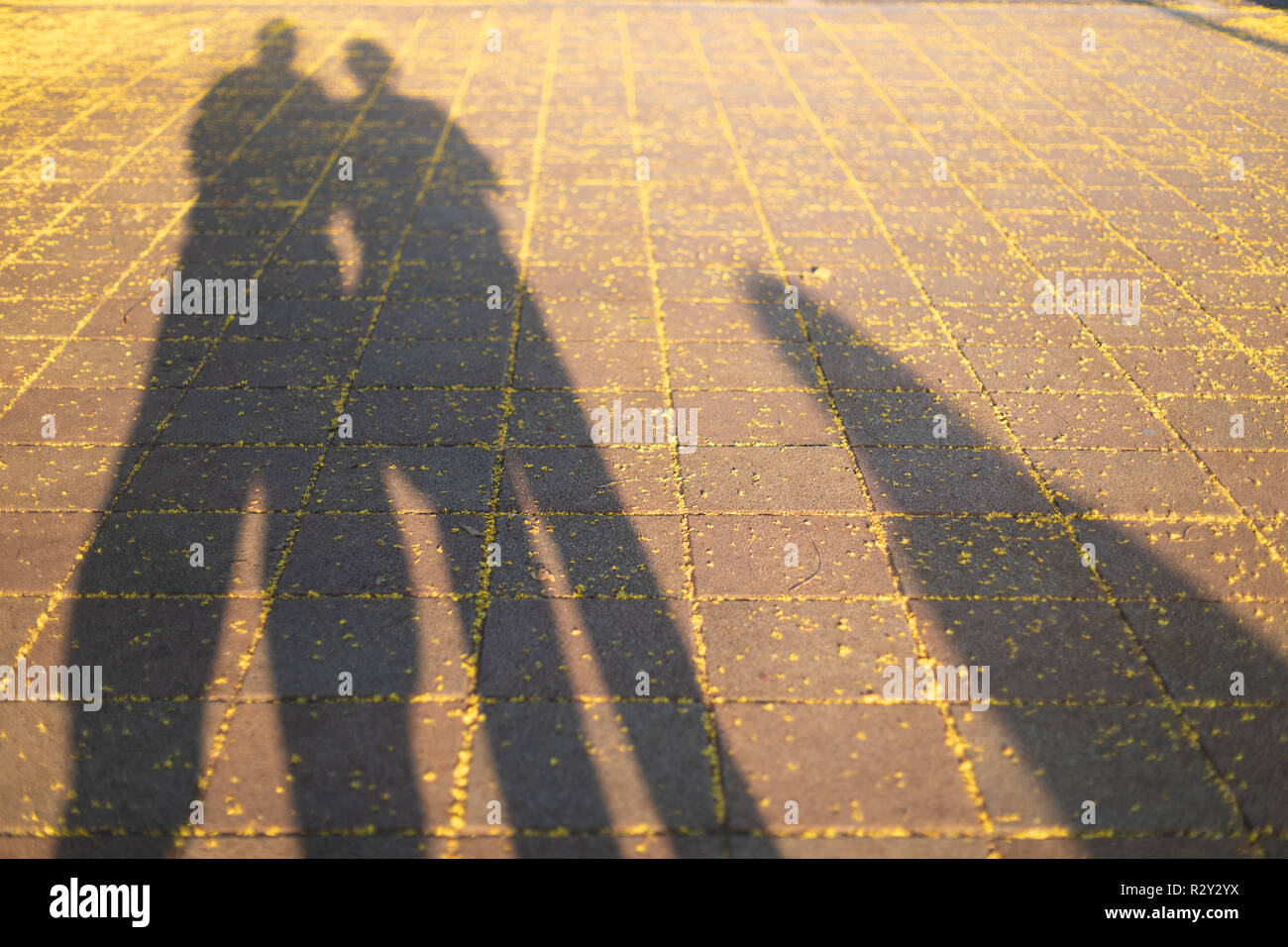 Long autumn evening shadows of couple huddled together and a single ...