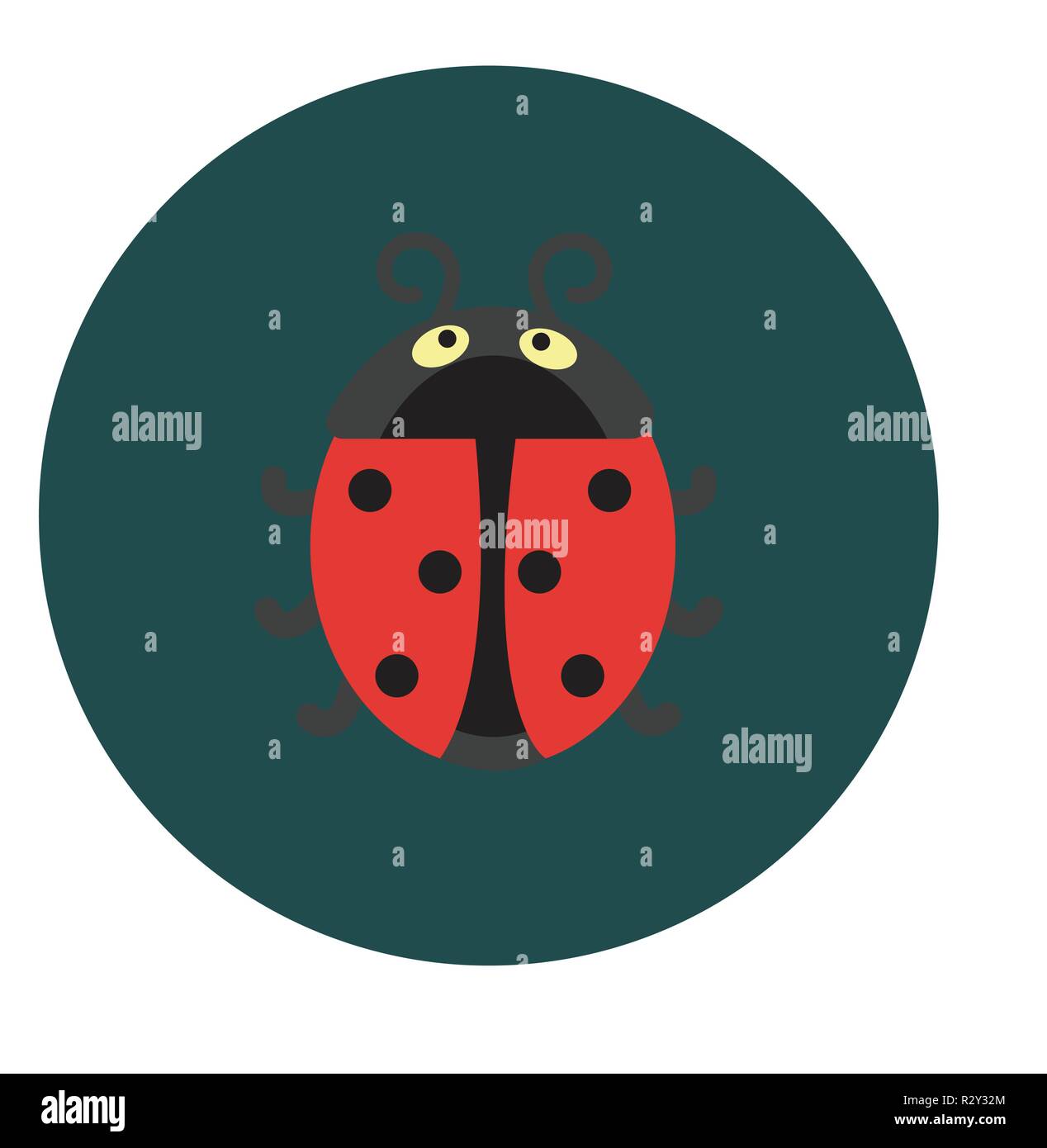 Flat Lady bug on white background Stock Vector Image & Art - Alamy