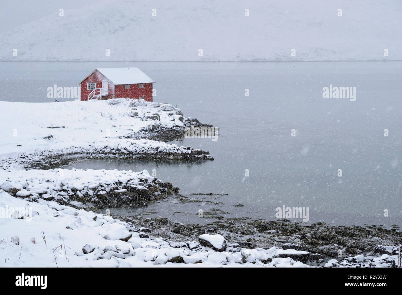 Red rorbu house in winter, Lofoten islands, Norway Stock Photo - Alamy
