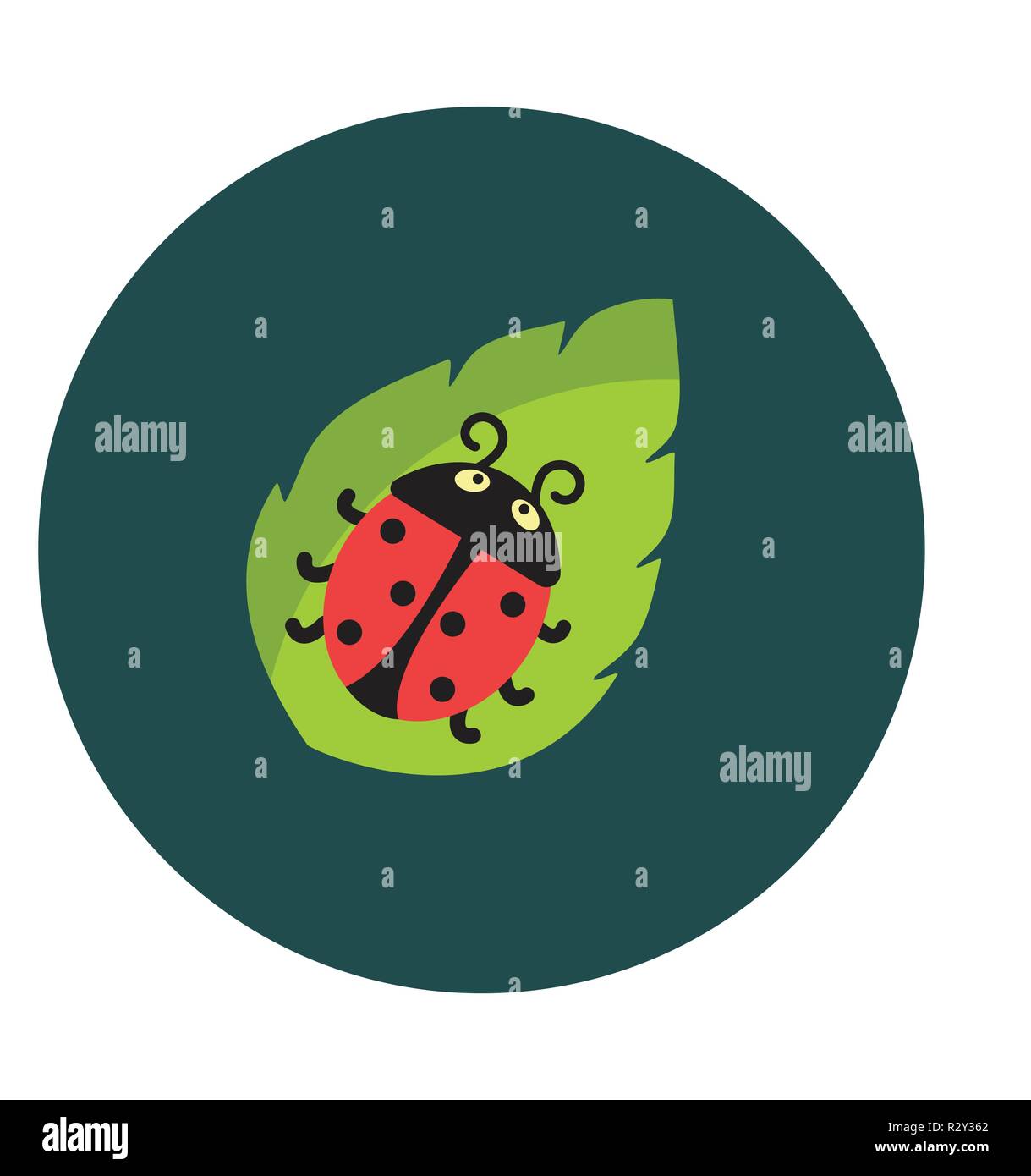 Flat Lady bug on white background Stock Vector Image & Art - Alamy