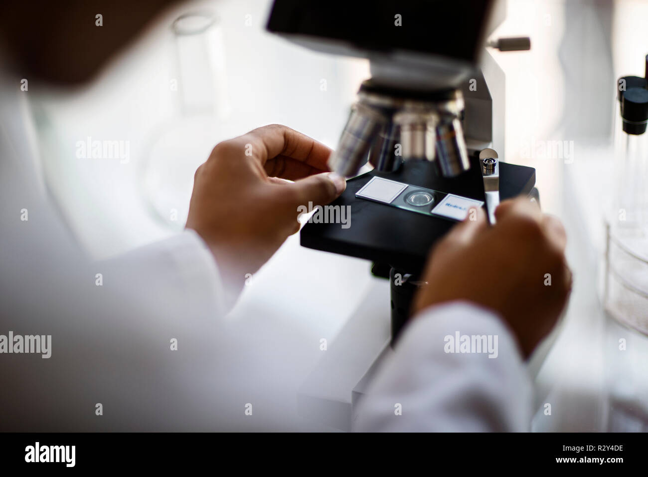 Scientist adjusting a microscope Stock Photo - Alamy