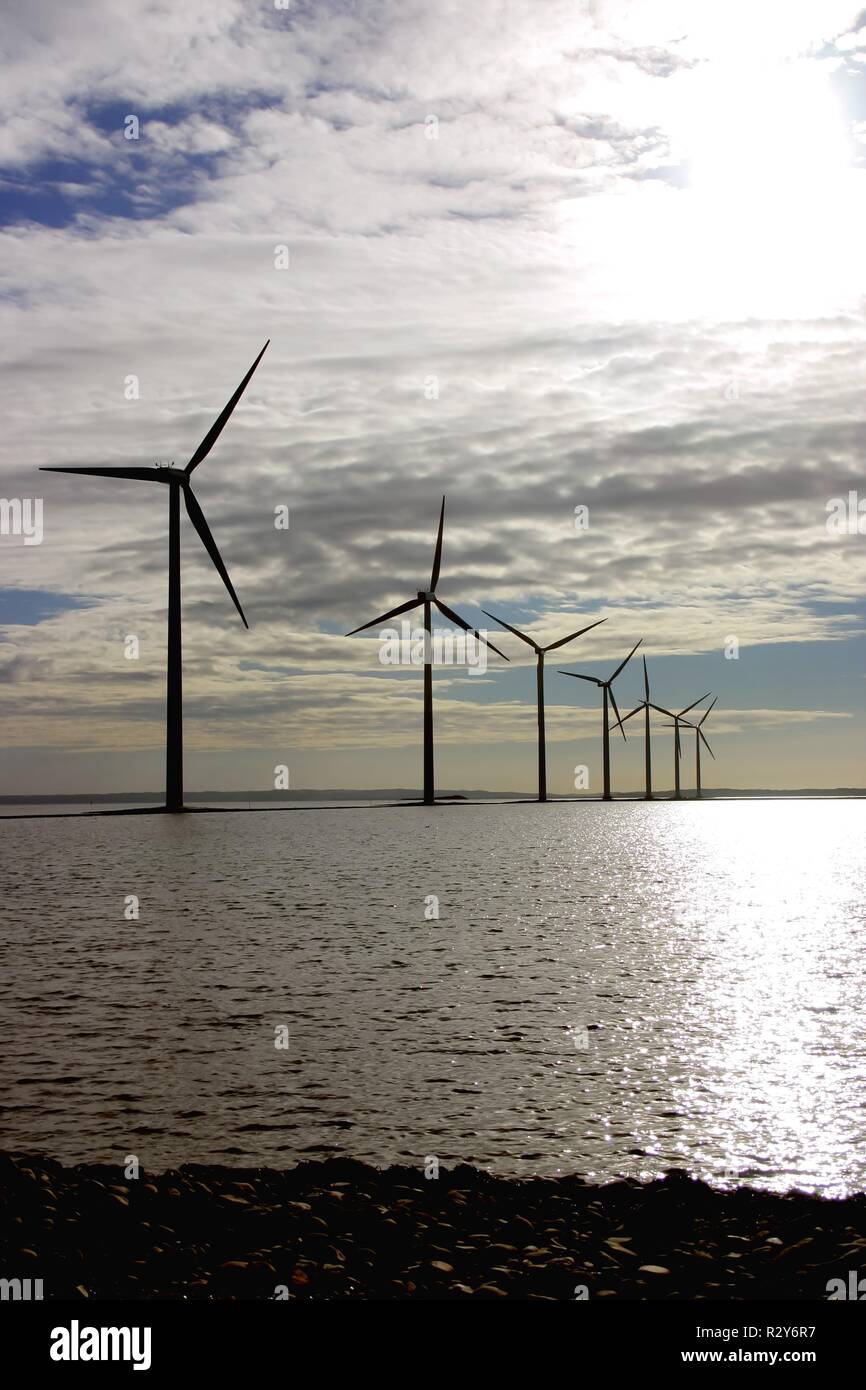 wind wheels in the backlight Stock Photo - Alamy