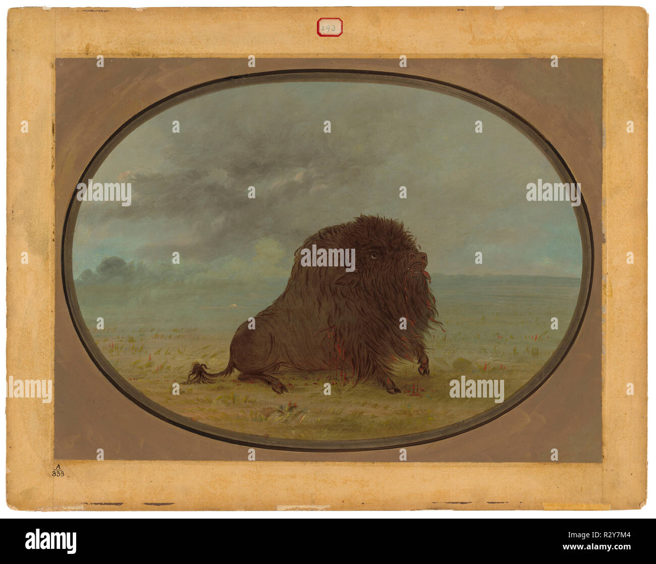 National buffalo museum hi-res stock photography and images - Alamy