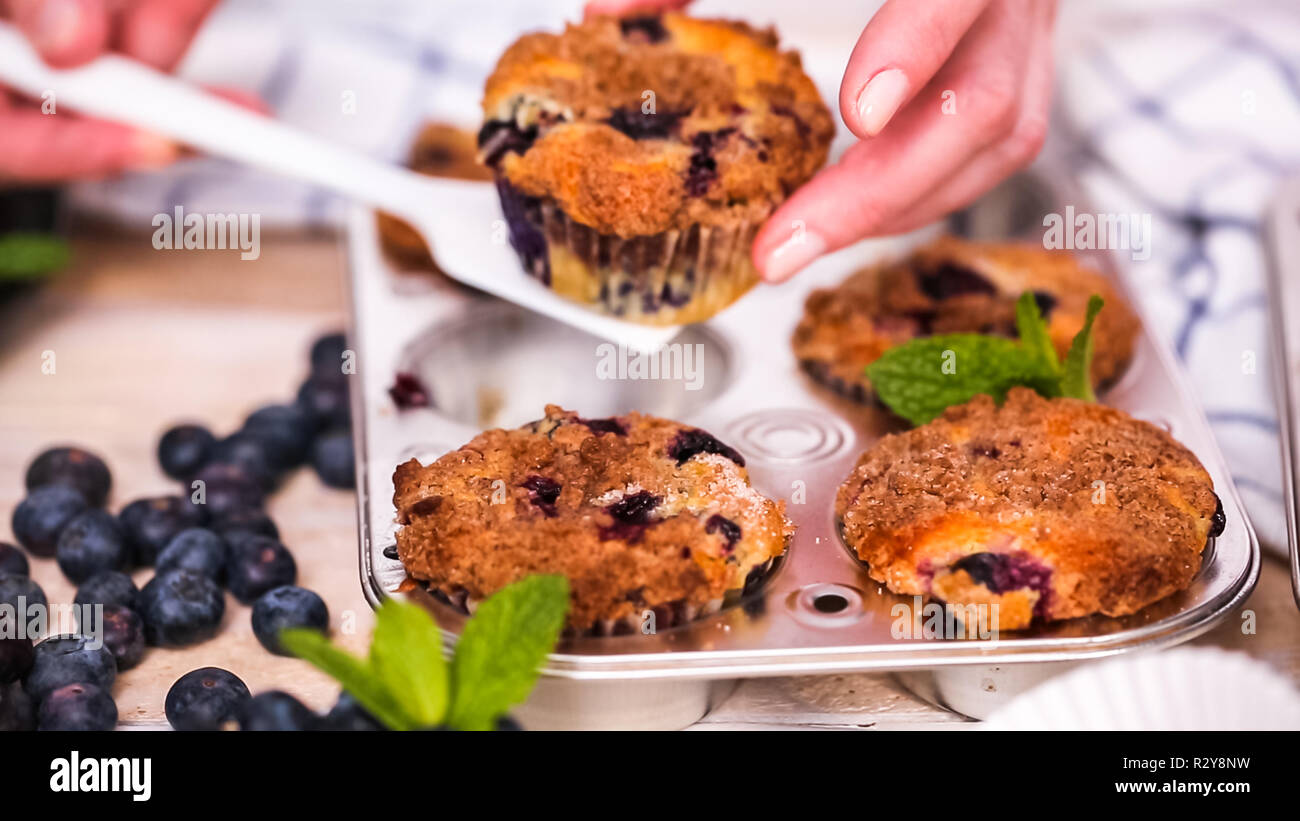 Taking blueberry muffins out of metal muffin pan Stock Photo - Alamy