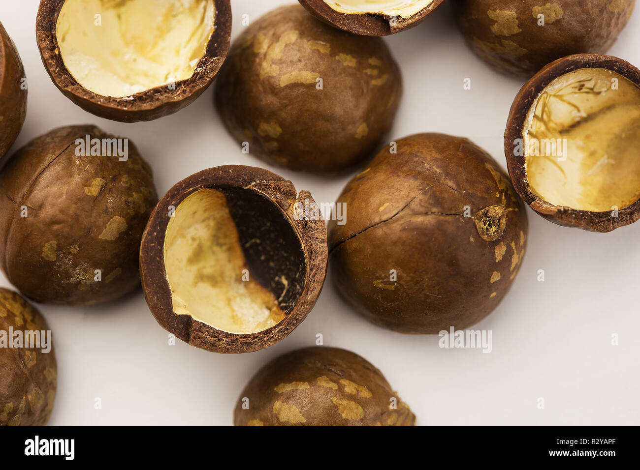 shell from macadamia nuts isolated on white background, close-up Stock ...