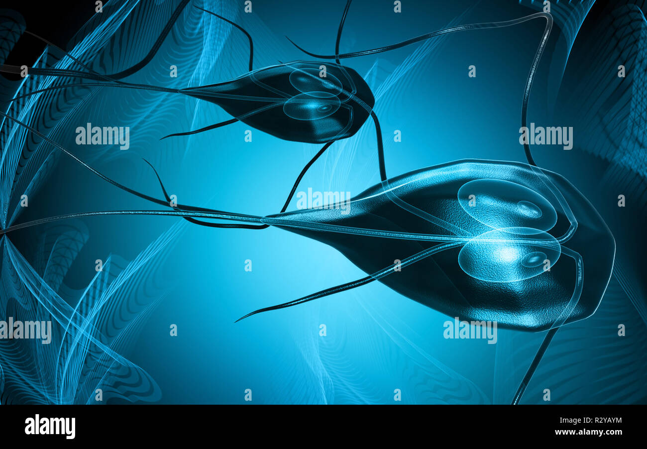 Flagella High Resolution Stock Photography and Images - Alamy