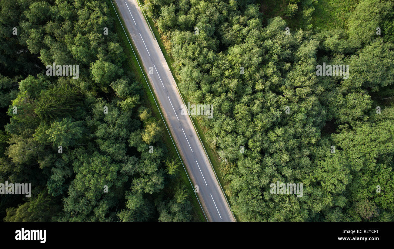 Drone view of road through forest Stock Photo - Alamy