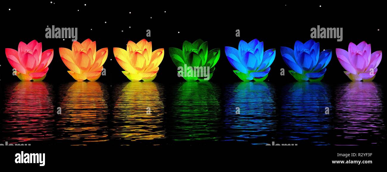 Red orange lotus flowers lotus hi-res stock photography and images - Alamy