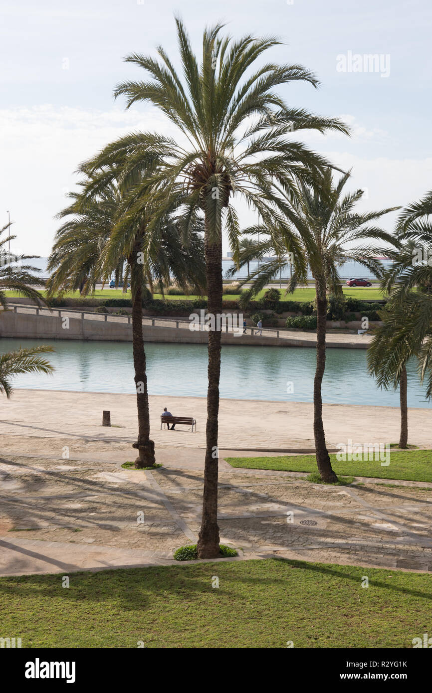 Palma de Mallorca, people Stock Photo - Alamy