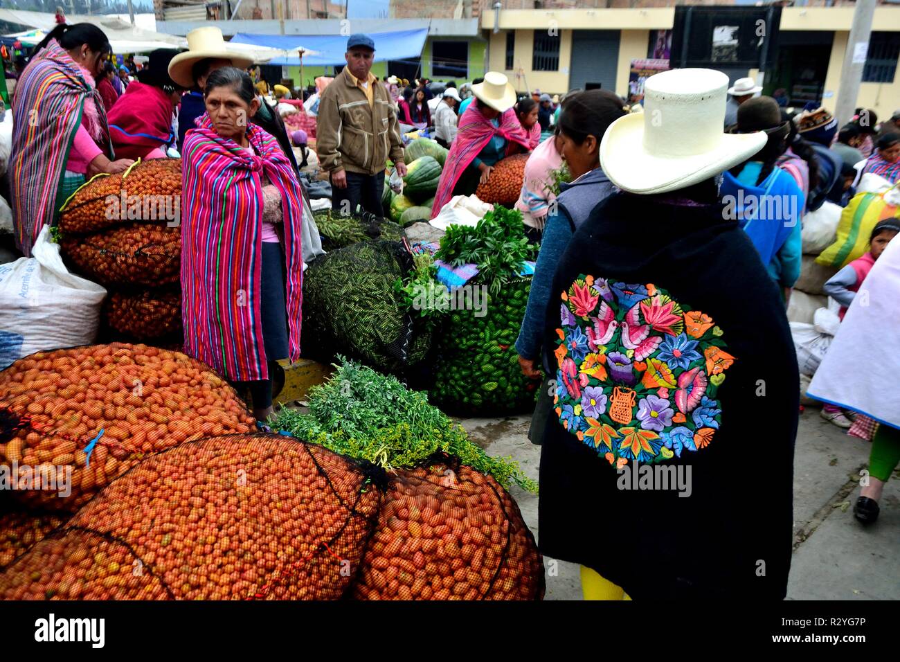 Oca potato hi-res stock photography and images - Alamy