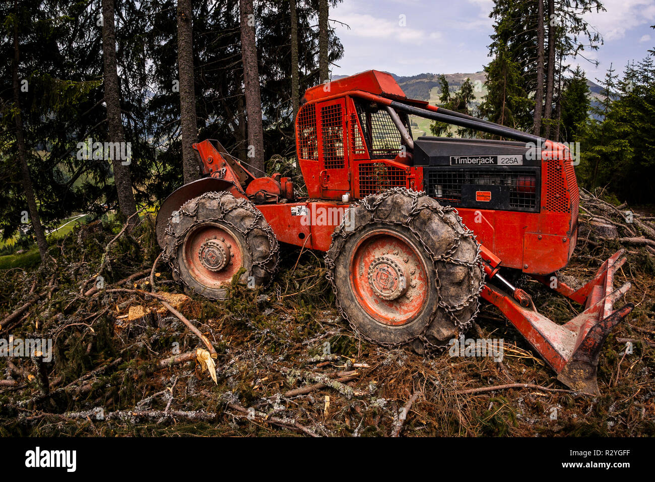 Timberjack machine at work in a commercial forest Stock Photo - Alamy