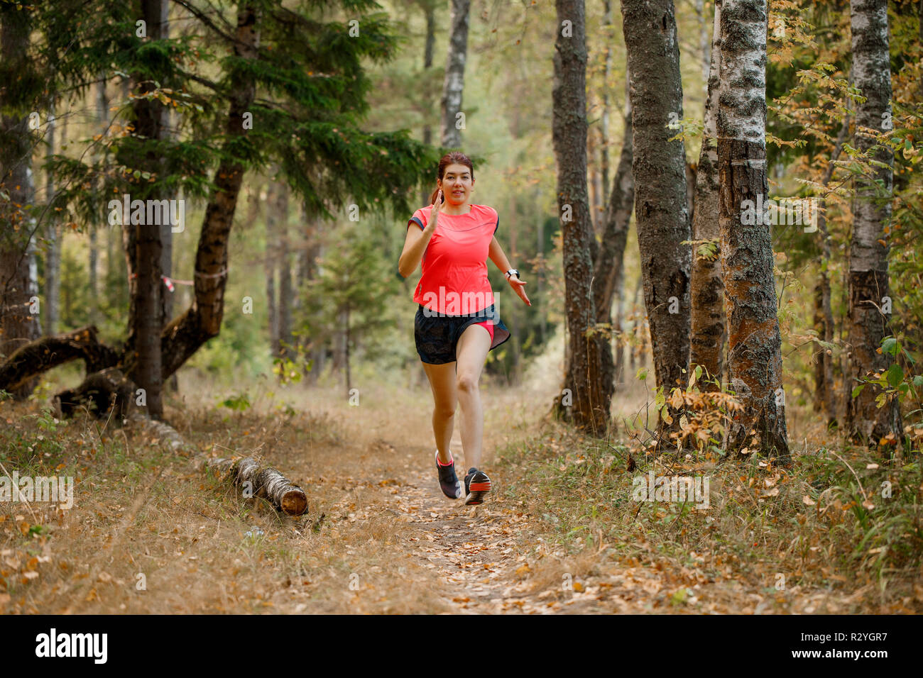 Image from back of sports woman running through forest on summer day ...