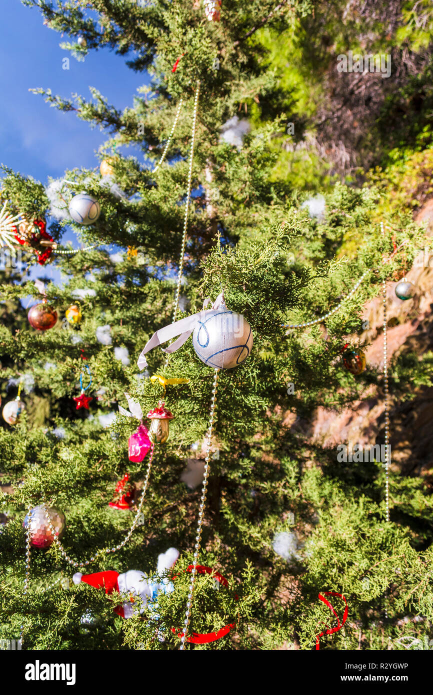 Decorated Christmas tree in the forest at nature background Stock Photo ...