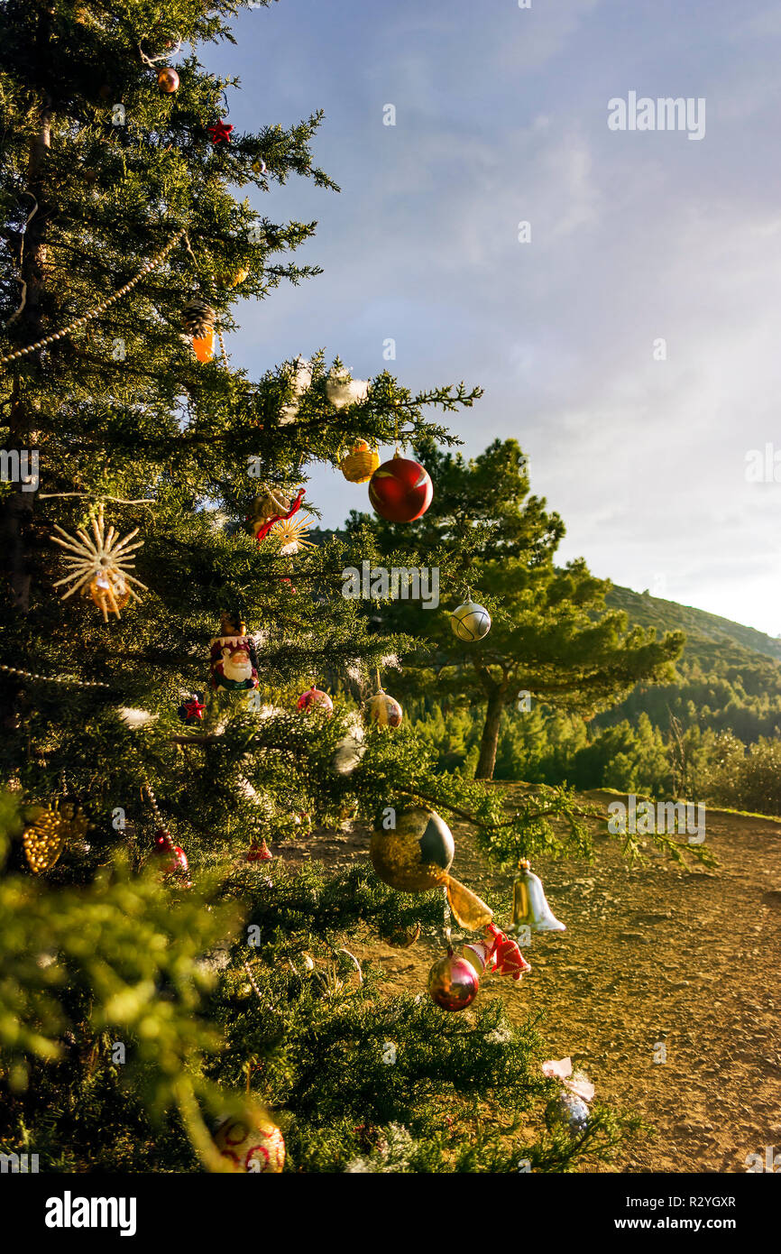 Decorated Christmas tree in the forest at nature background Stock Photo ...