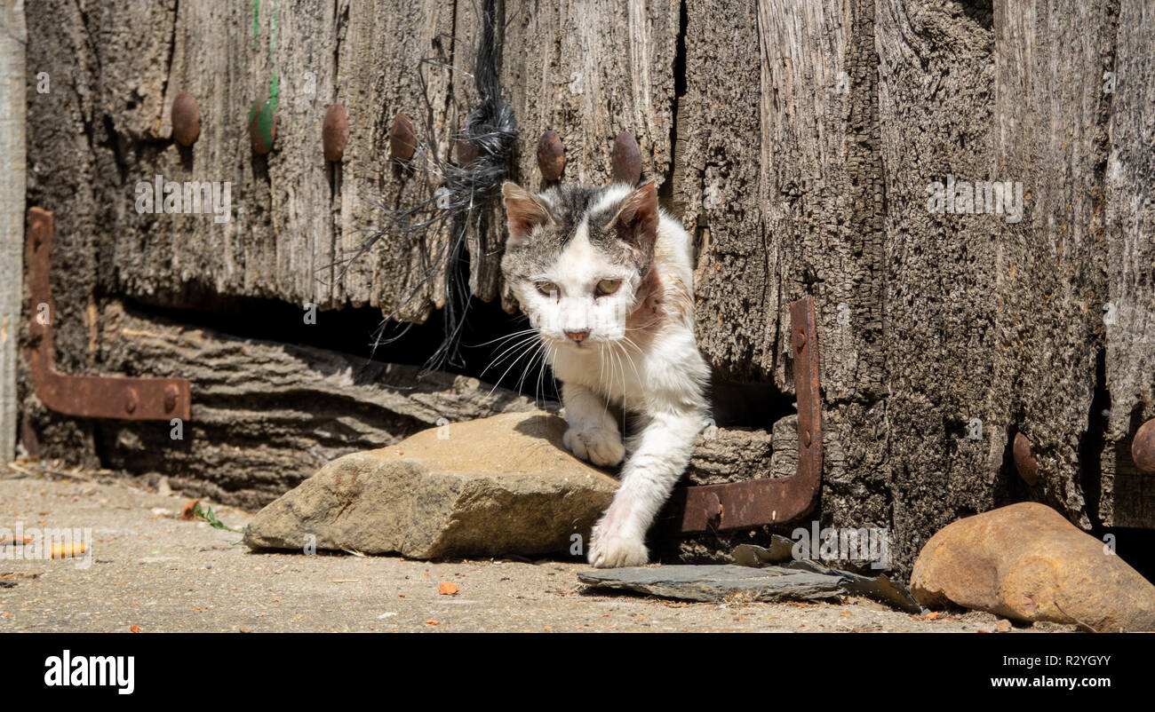 Car exit door hi-res stock photography and images - Alamy