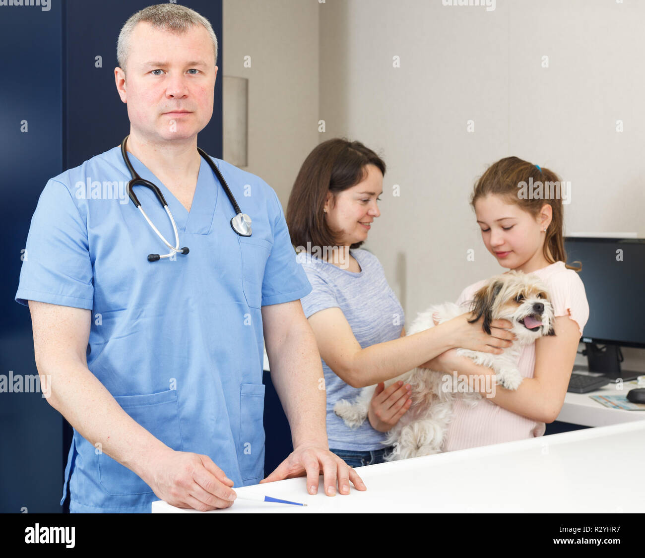 Confident male veterinarian standing in vet office on background of ...