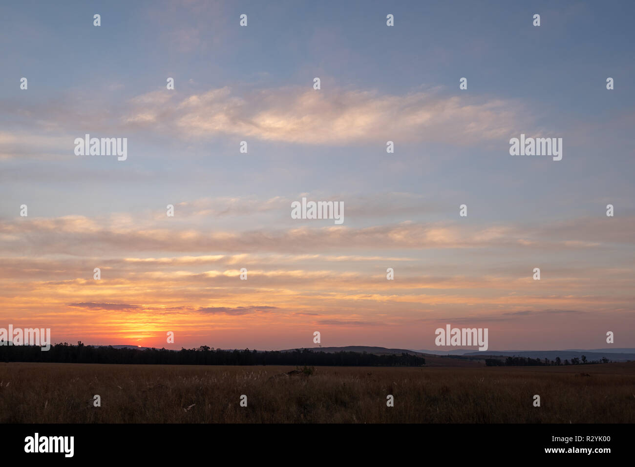 Beautiful colorful vibrant african sunset over yellow bushveld, South ...