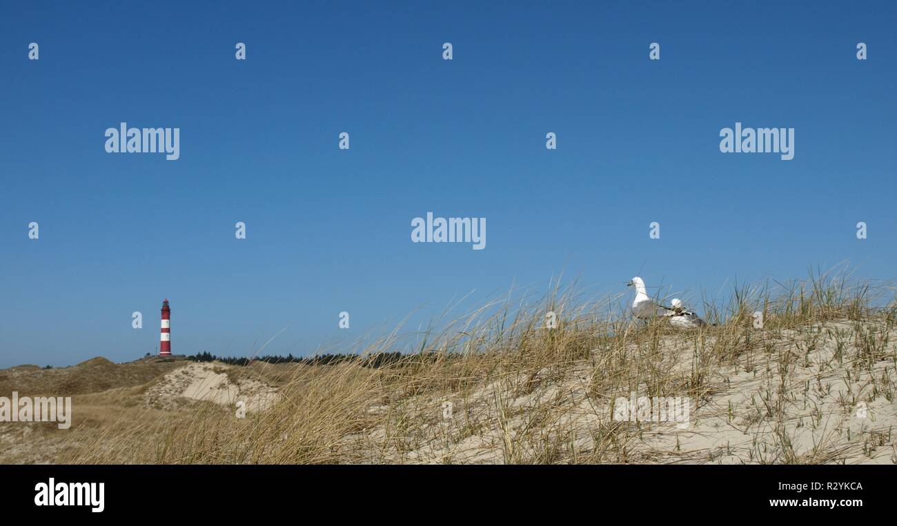 Seeurlaub hi-res stock photography and images - Alamy