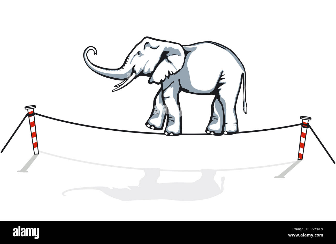 Elephants circus balance hi-res stock photography and images - Alamy