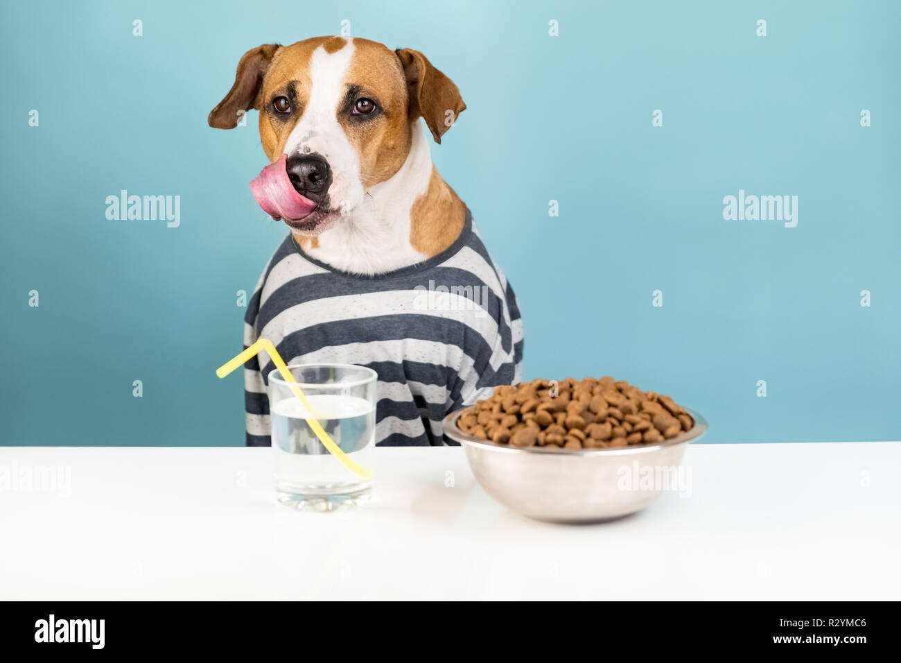 Dog Eating Breakfast